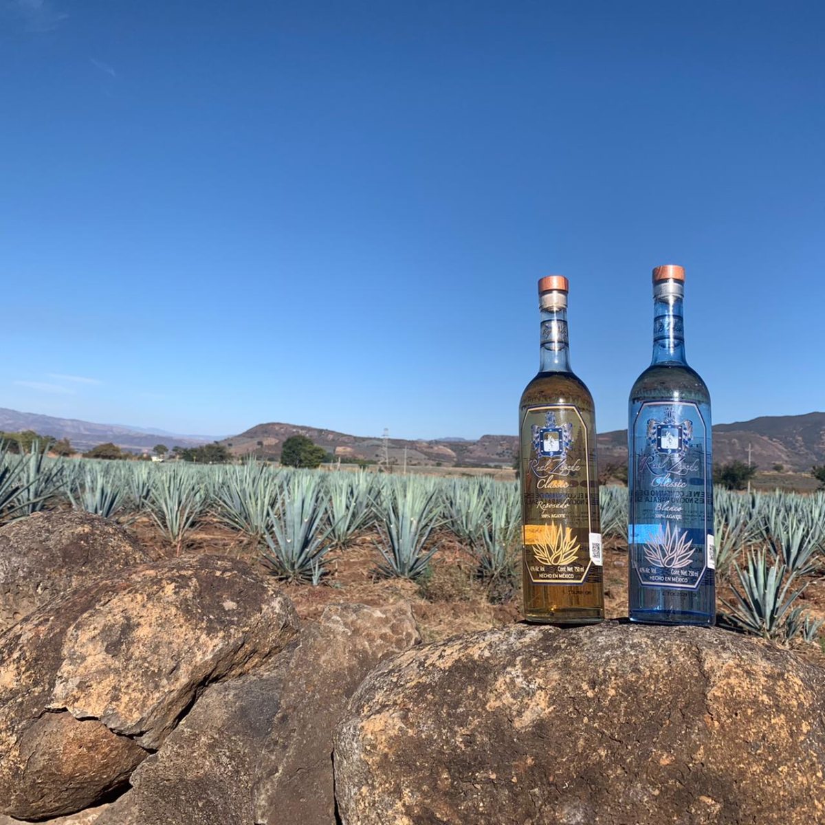OMZE Authentic Tequila, Mezcal & Spirits, Inc — Pacific Community Ventures